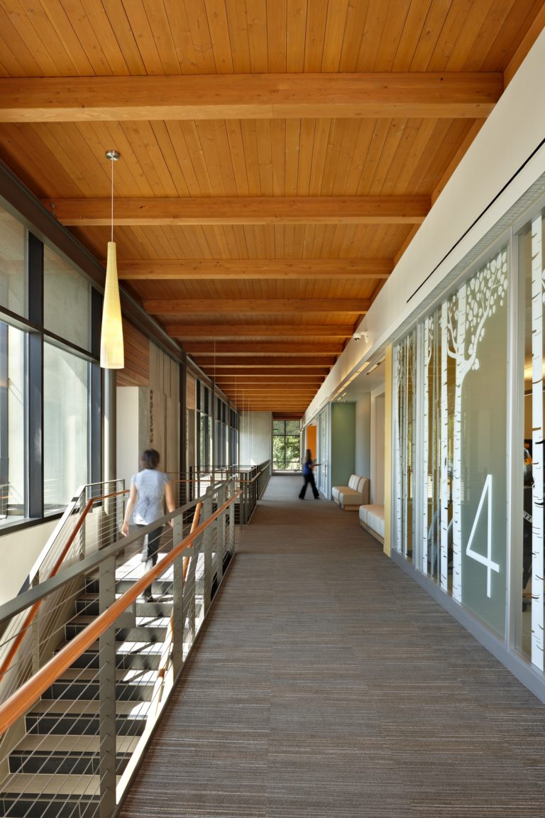 Why the Next Generation of Hospitals Should Be Made From Mass Timber