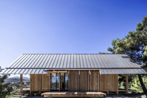 Slatted for Success: 10 Stunning Projects Using Timber Screens to Let ...