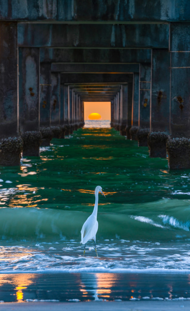 Playing With (Architectural) Perspective: This Year’s One Photo Winner ...