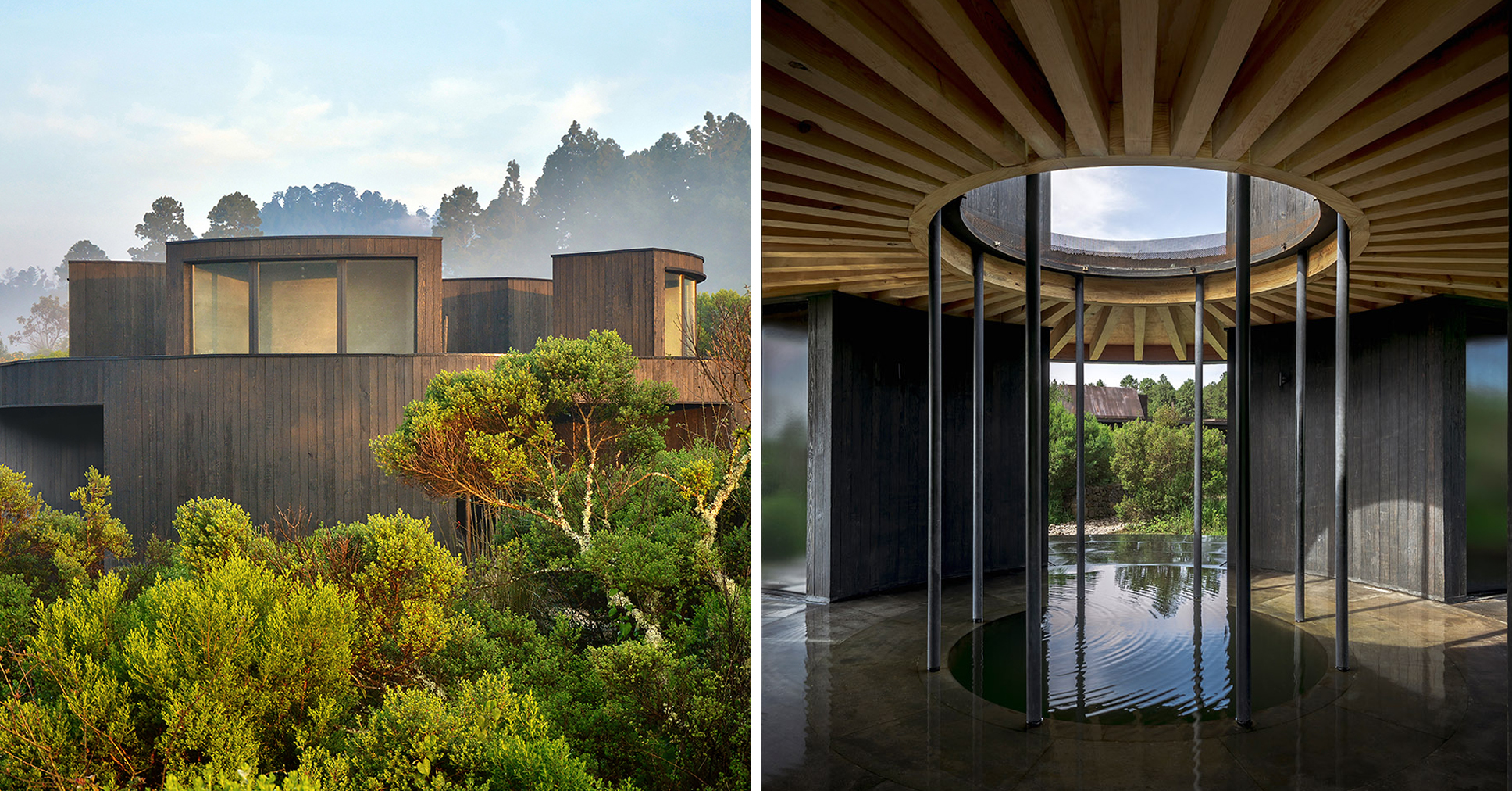 Dream Steams: 8 Ways Contemporary Bathhouse Design Refreshes Tired Wellness Tropes - Architizer ...