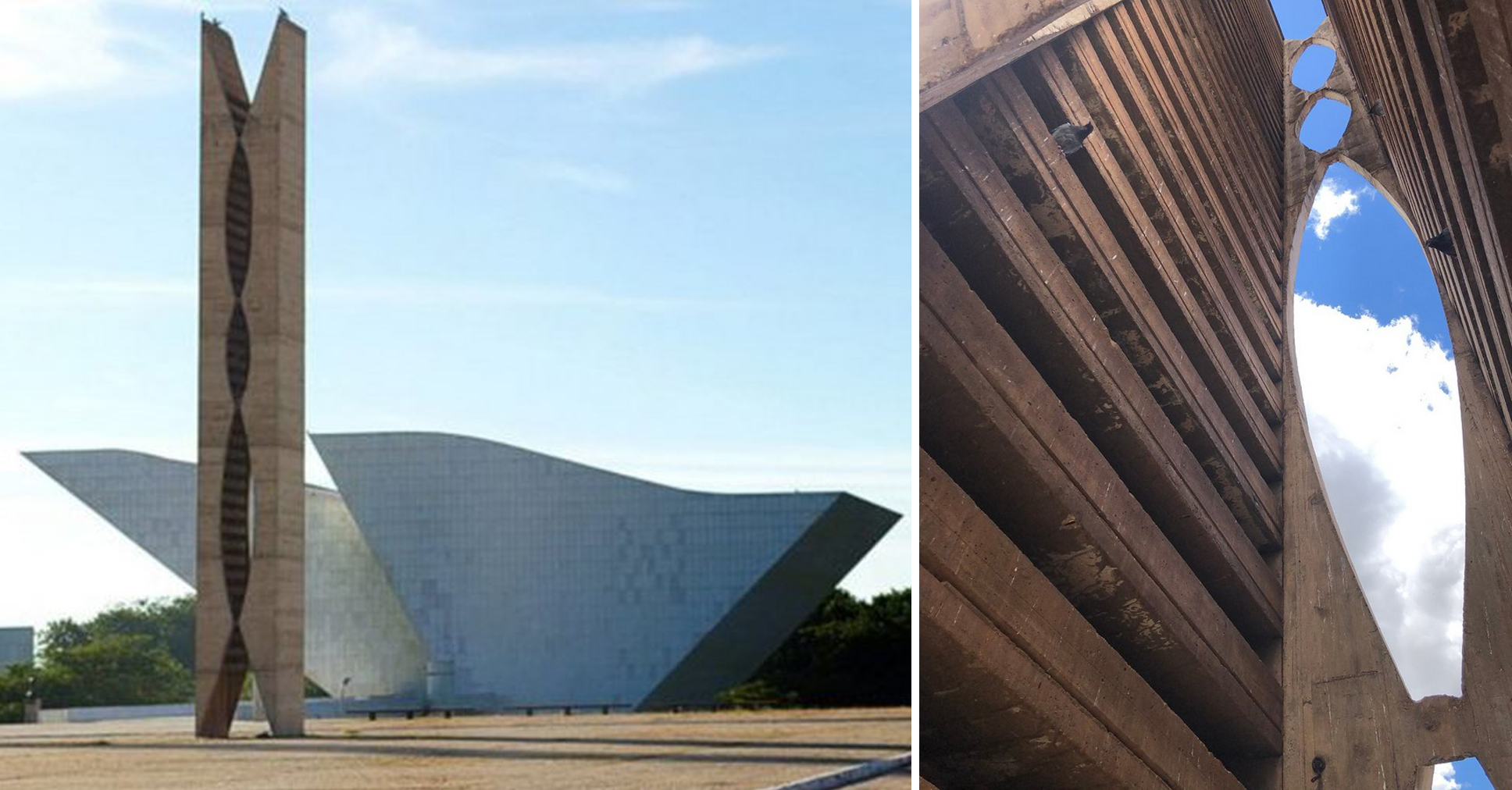 Avian Architecture: To Coexist, Architects Must Embrace Multi-Species ...