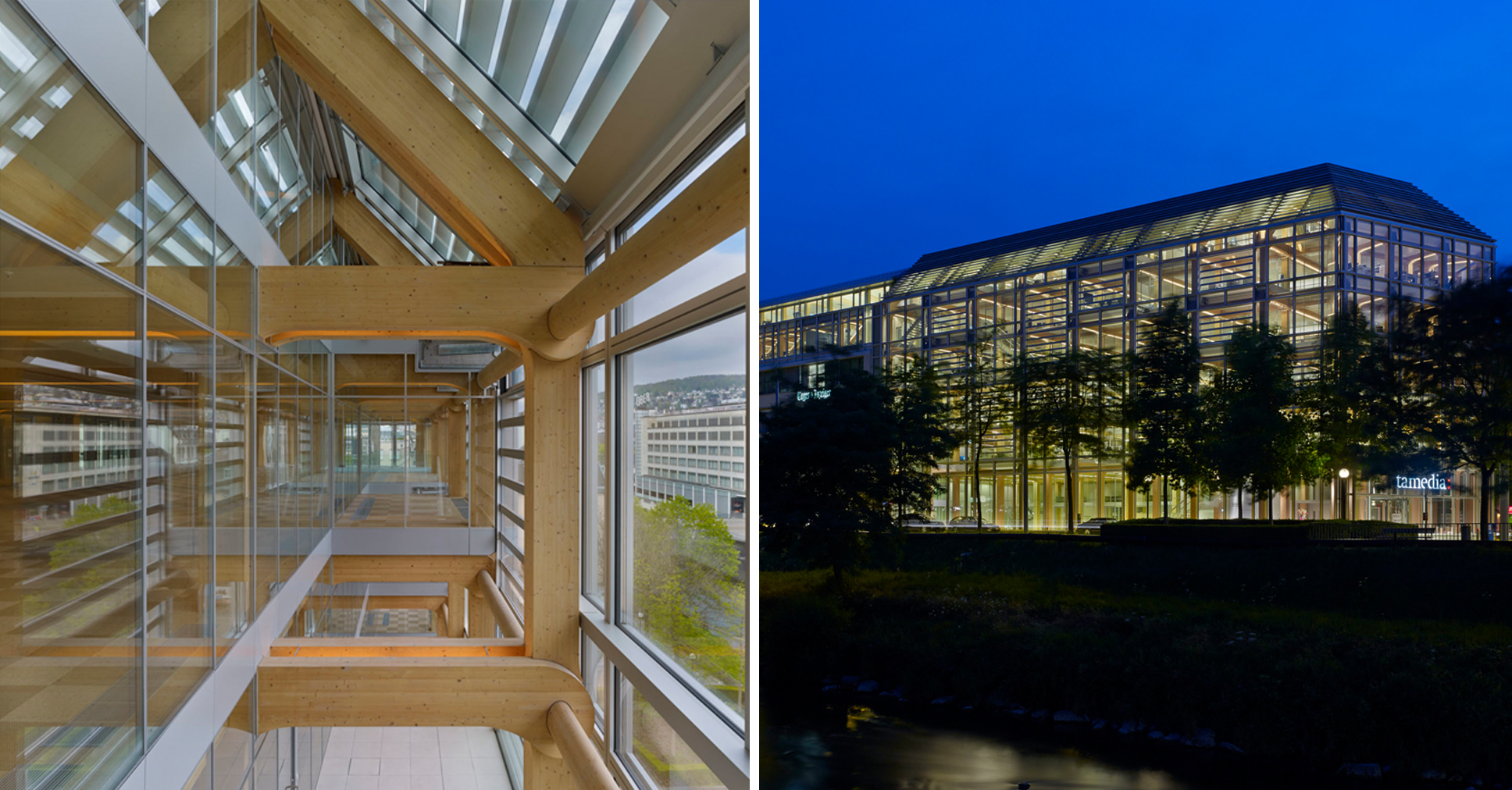 The Future of Architecture: Scaling Up and Building Big With Timber