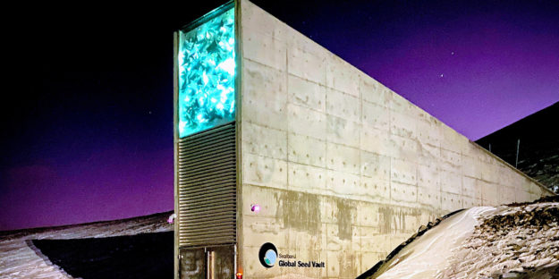 A Step Above: 6 Spectacular Outdoor Stairs That Merge Functionality and ...