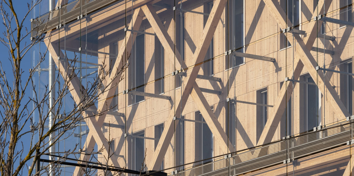 Striking Skeletons: 6 Expressive Projects Flaunting Their Structural Frames