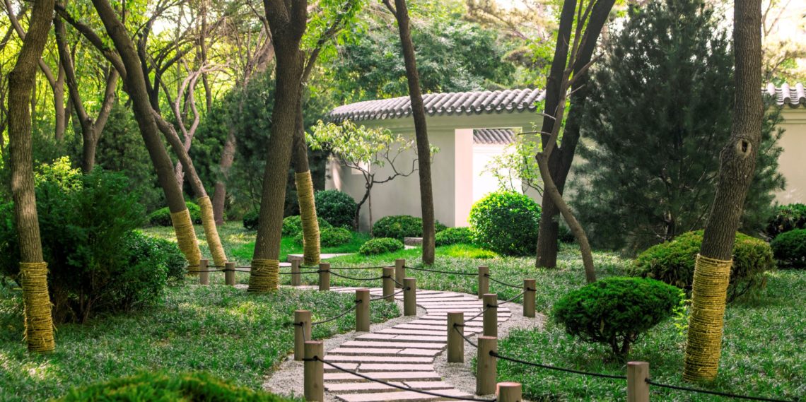 Back from the Brink: 7 Projects Designed to Revitalize Neglected Public ...