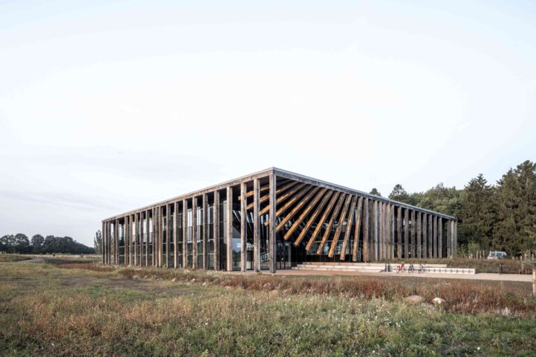 Creative Calculations: 6 Precise Projects Inspired by the Fibonacci ...