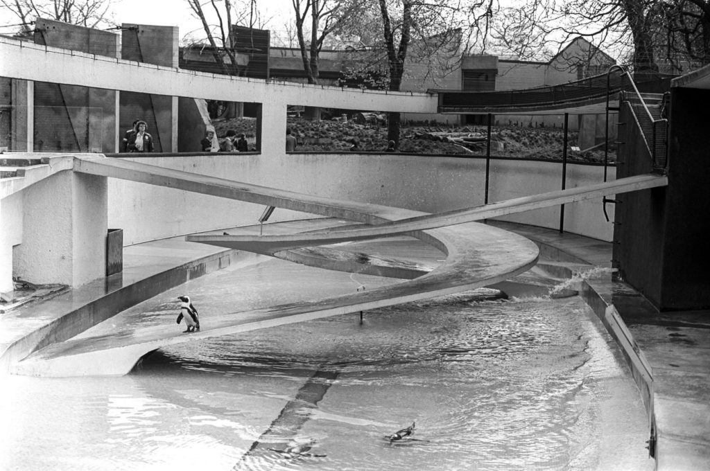 Berthold Lubetkin: The Georgian Émigré Who Changed the Architectural ...