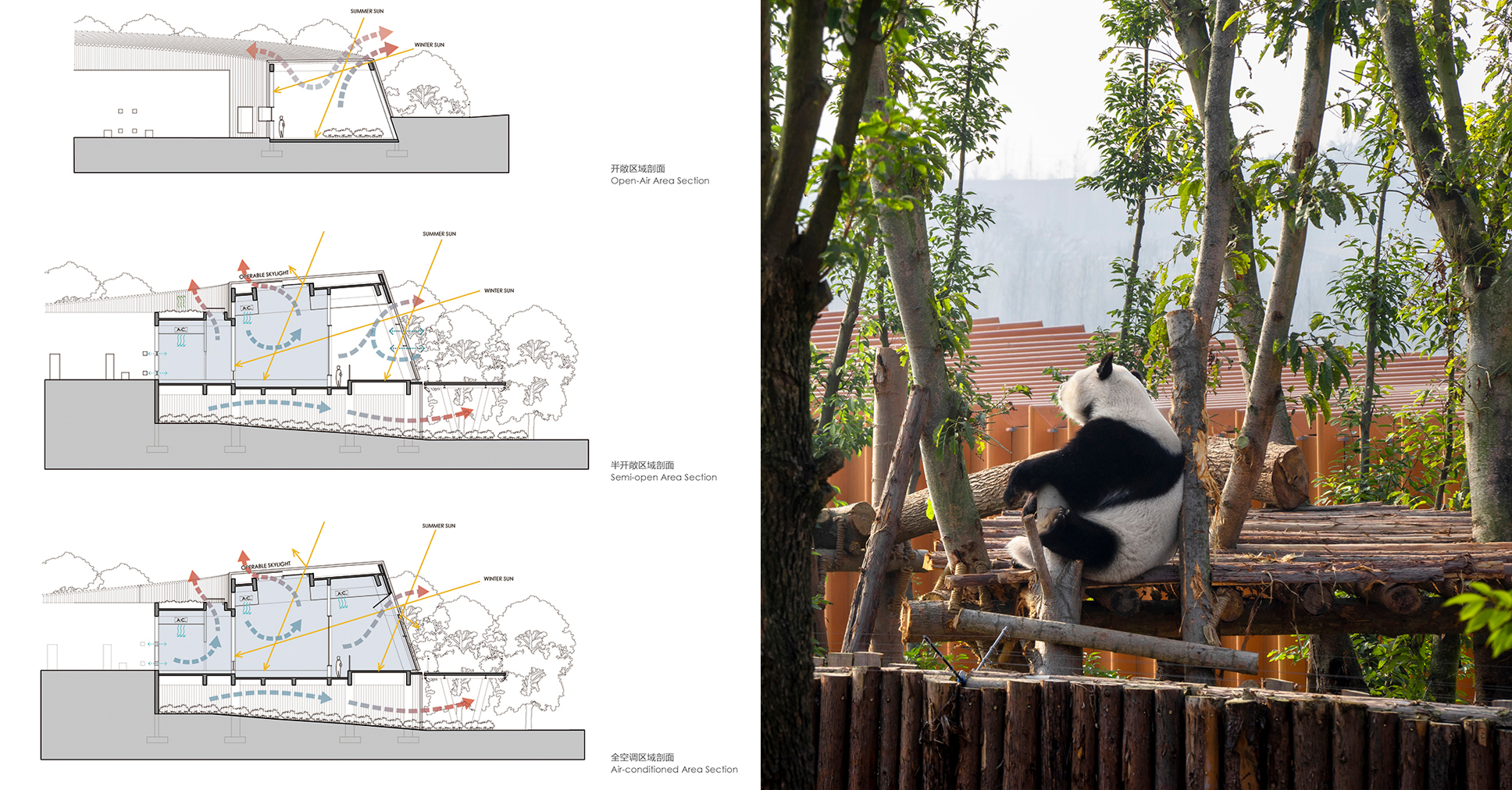 Sustainable Practice: The Chengdu Panda Pavilions and the Architecture ...