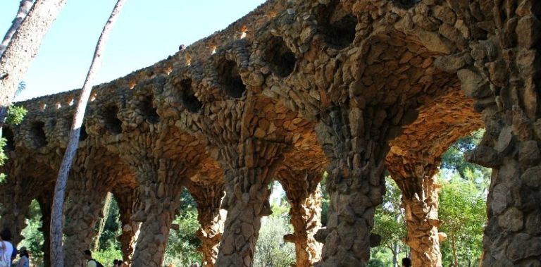 Avian Architecture: To Coexist, Architects Must Embrace Multi-Species ...