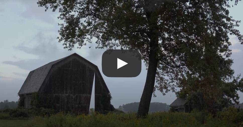 Architectural Illusion: This Truly Unique Barn Renovation Will Make You ...