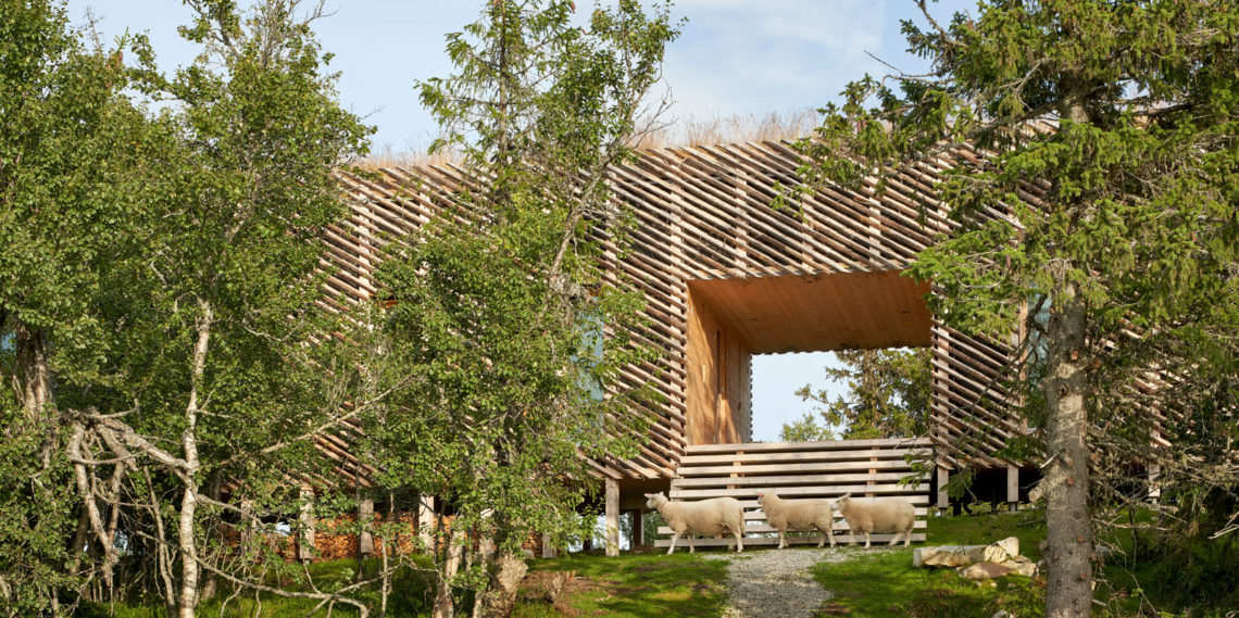 7 Carefully Crafted Timber Homes Nestled in the Nordic Landscape