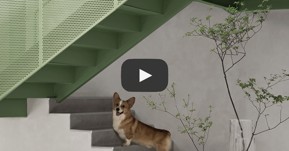 From Paws to Posh: See How This Clinic Transforms the Typical Vet ...